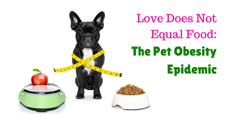 Is Overfeeding A Dog Bad