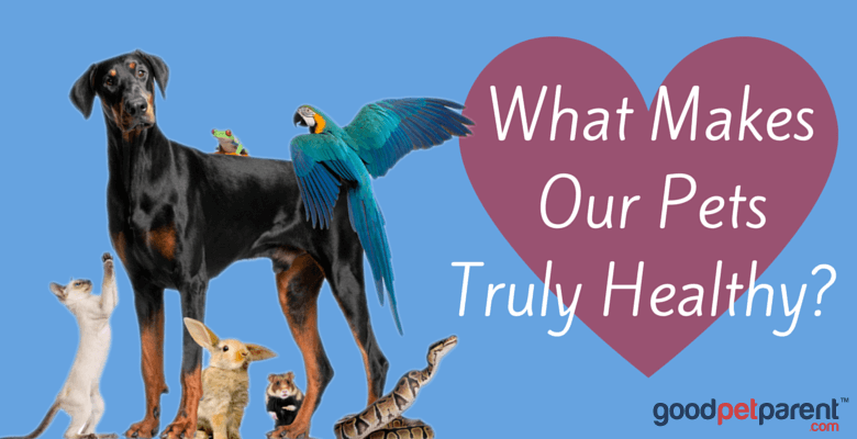 What Makes Our Pets Truly Healthy? - Good Pet Parent